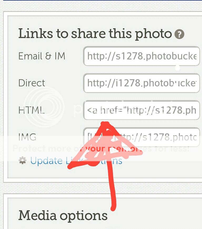 I use photobucket.com. upload - NBADraft.net
