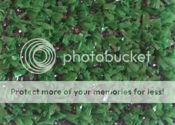 Astro turf as substrate? | Chameleon Forums