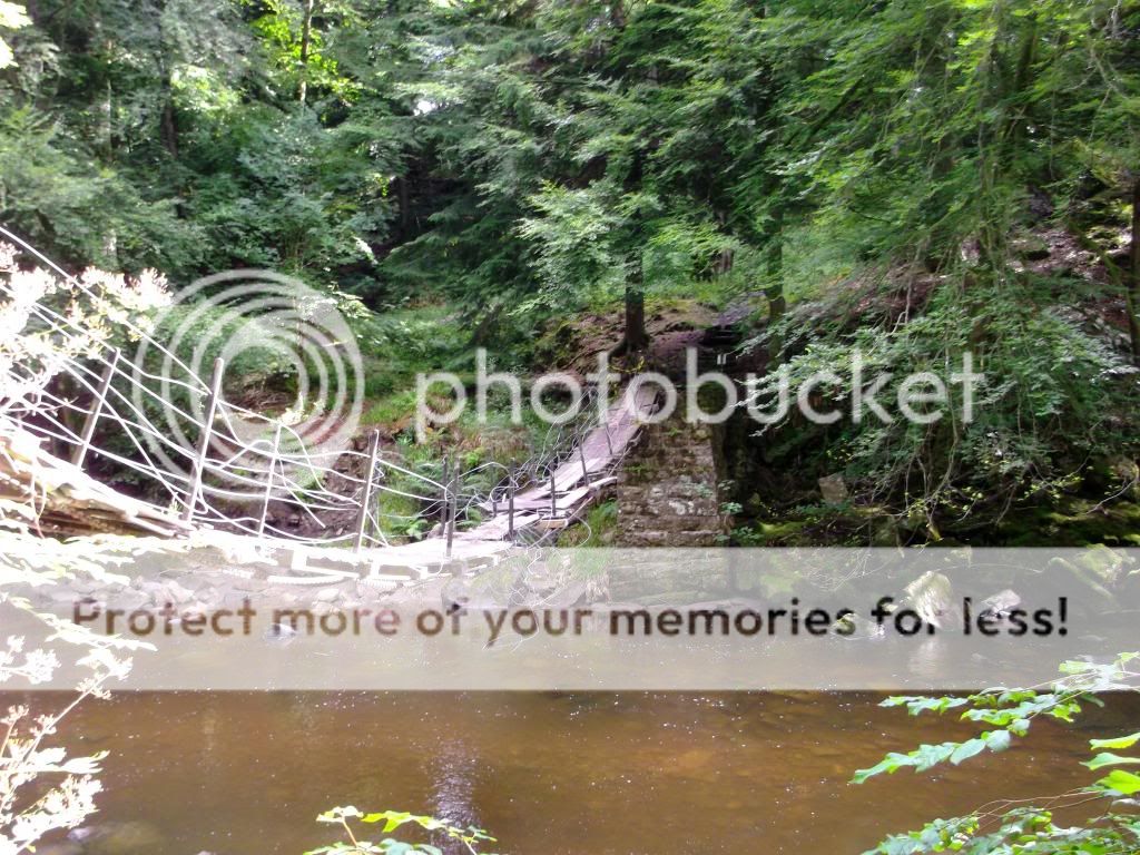 TR Allen Banks, Staward Gorge and Ridley Common Sun 4 Aug